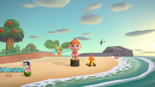 Buy Animal Crossing New Horizons Switch key Visit