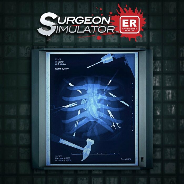 Buy Surgeon Simulator: Experience Reality Steam Key!
