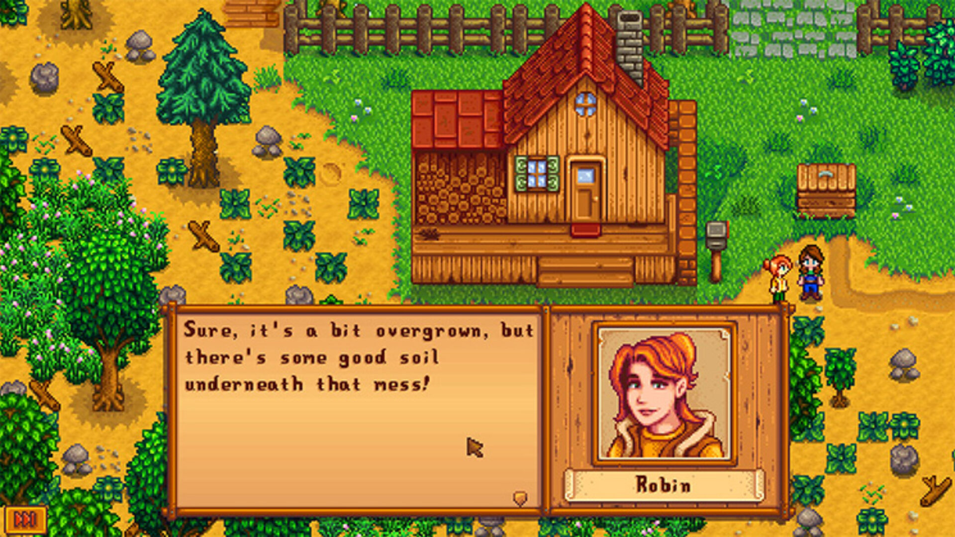 Nintendo eshop stardew valley store